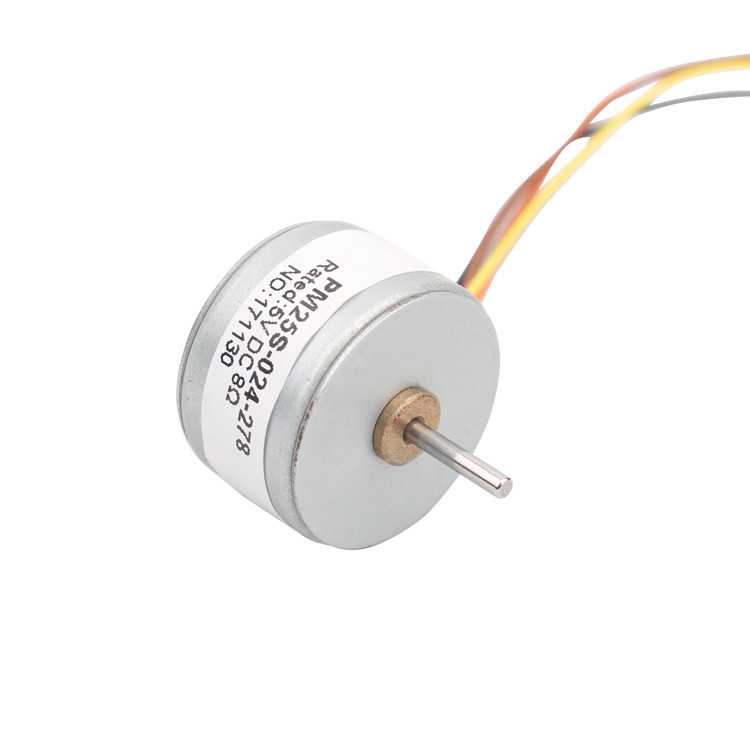 China stepper motor Industrial 25mm Permanent Magnet Stepping Motor 2 ...