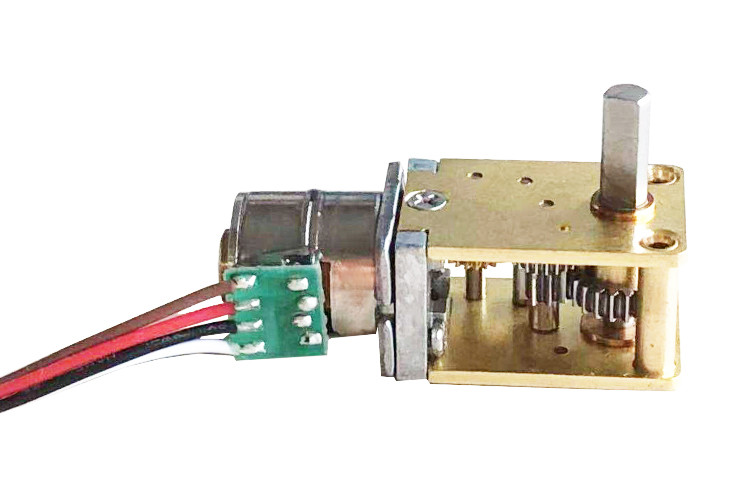 5V DC 10mm High Torque Stepper Motor With Worm Mini Gear Box 12V